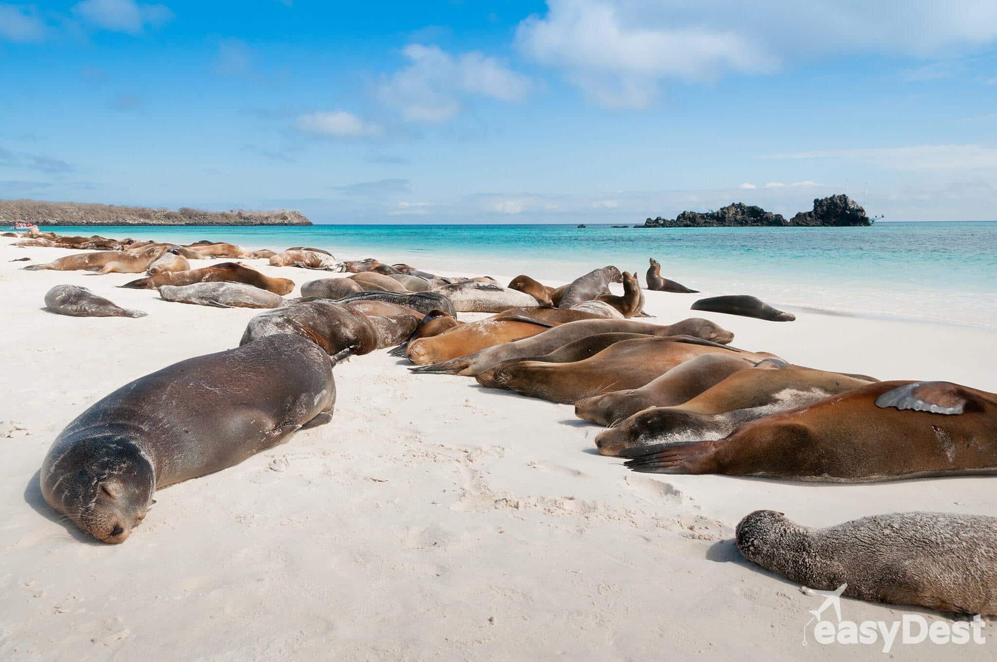Las 10 cosas que ver y hacer en Galápagos - easyDest